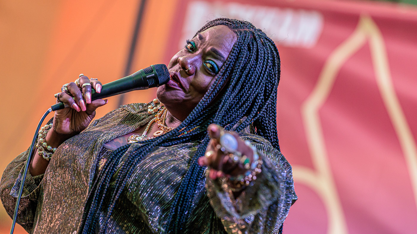 Top of the Park with Thornetta Davis and Kenyatta Rashon – Life In Michigan